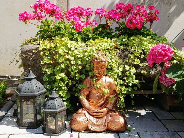 5 super ausgetsattete Ferienwohnungen direkt am Rhein in Koblenz